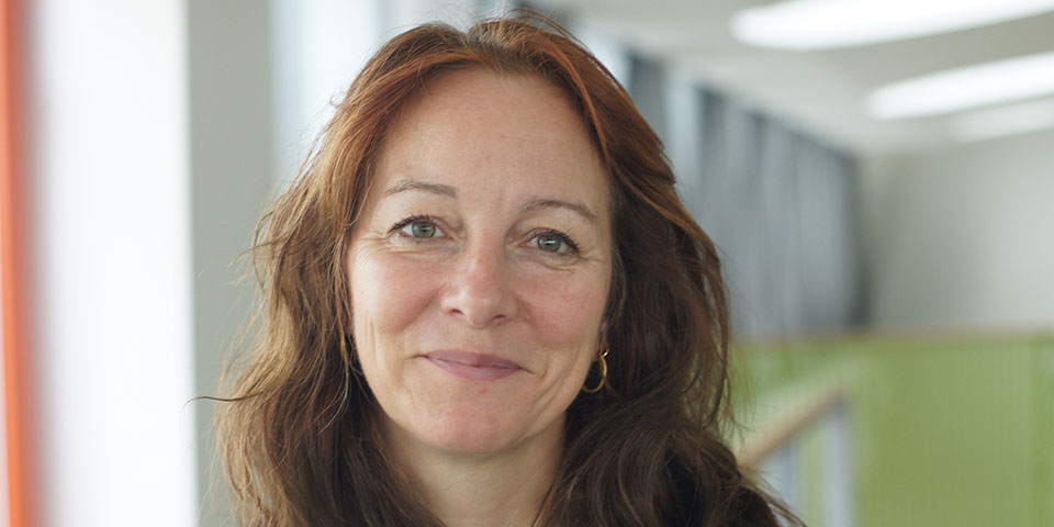 Få ekspertens råd om valg af uddannelse